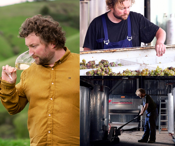 Buy online Patrick Sullivan Chardonnay Australia | Shop best value Aus wines | Fast Shipping ...