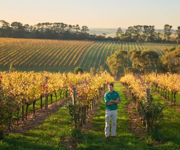 Shop Wine By Farr | Winery Of The Year Australia By Nick Farr | Fast ...